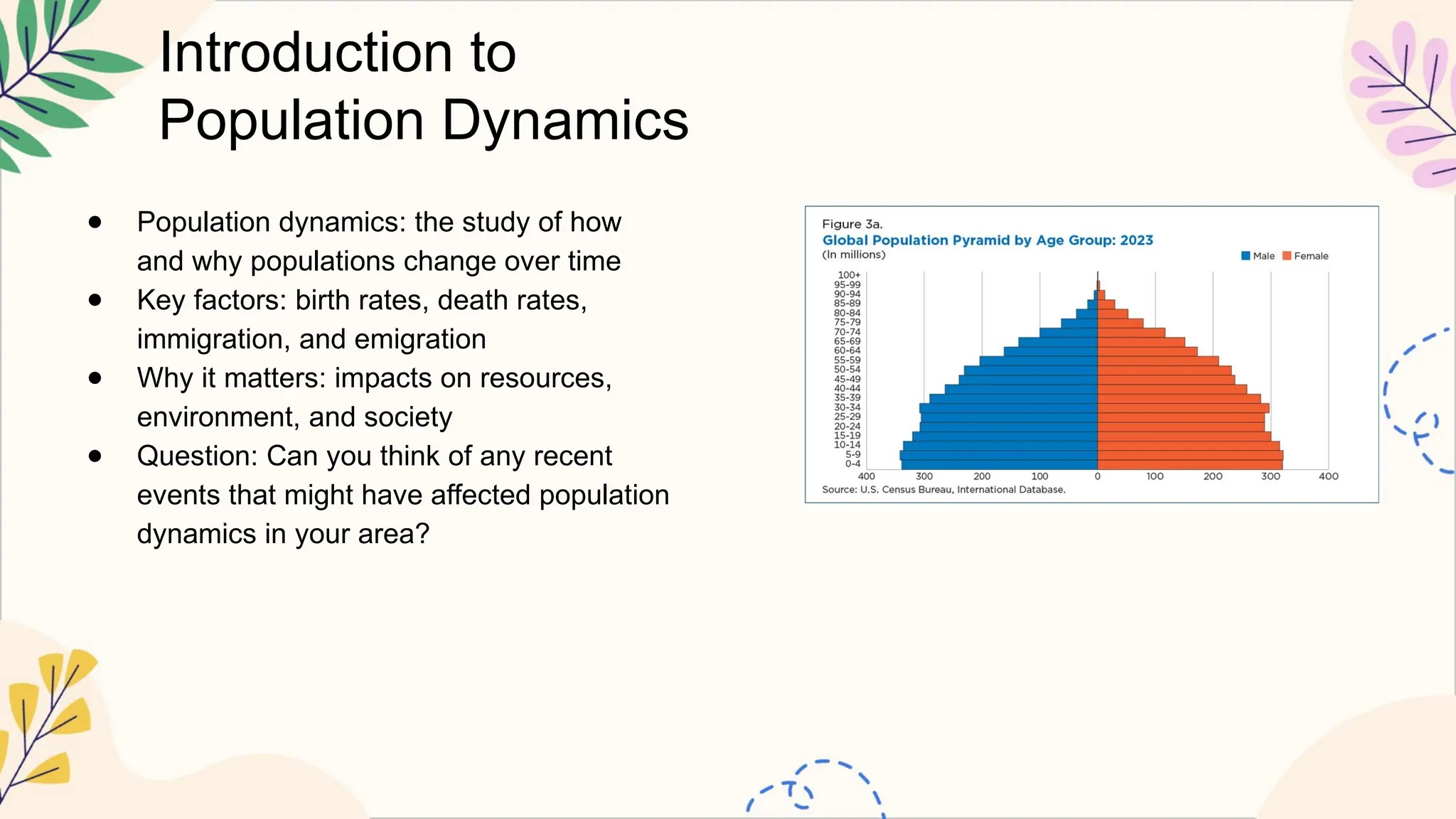 Understanding POPULATION DYNAMICS: Factors and impacts | PPTX