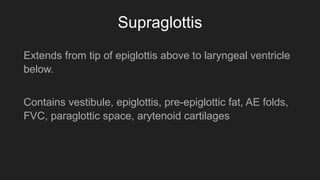 larynx and hypopharynx radiology anatomy | PPTX