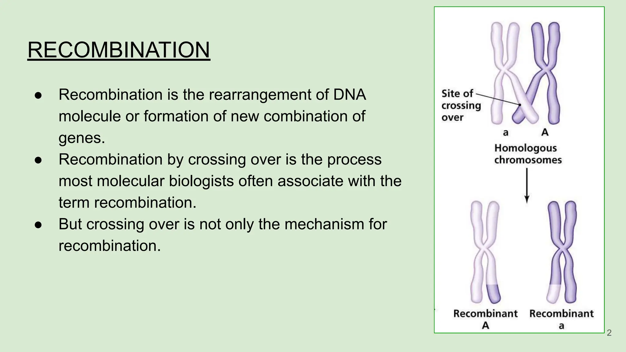 Recombination : types, models........... | PDF