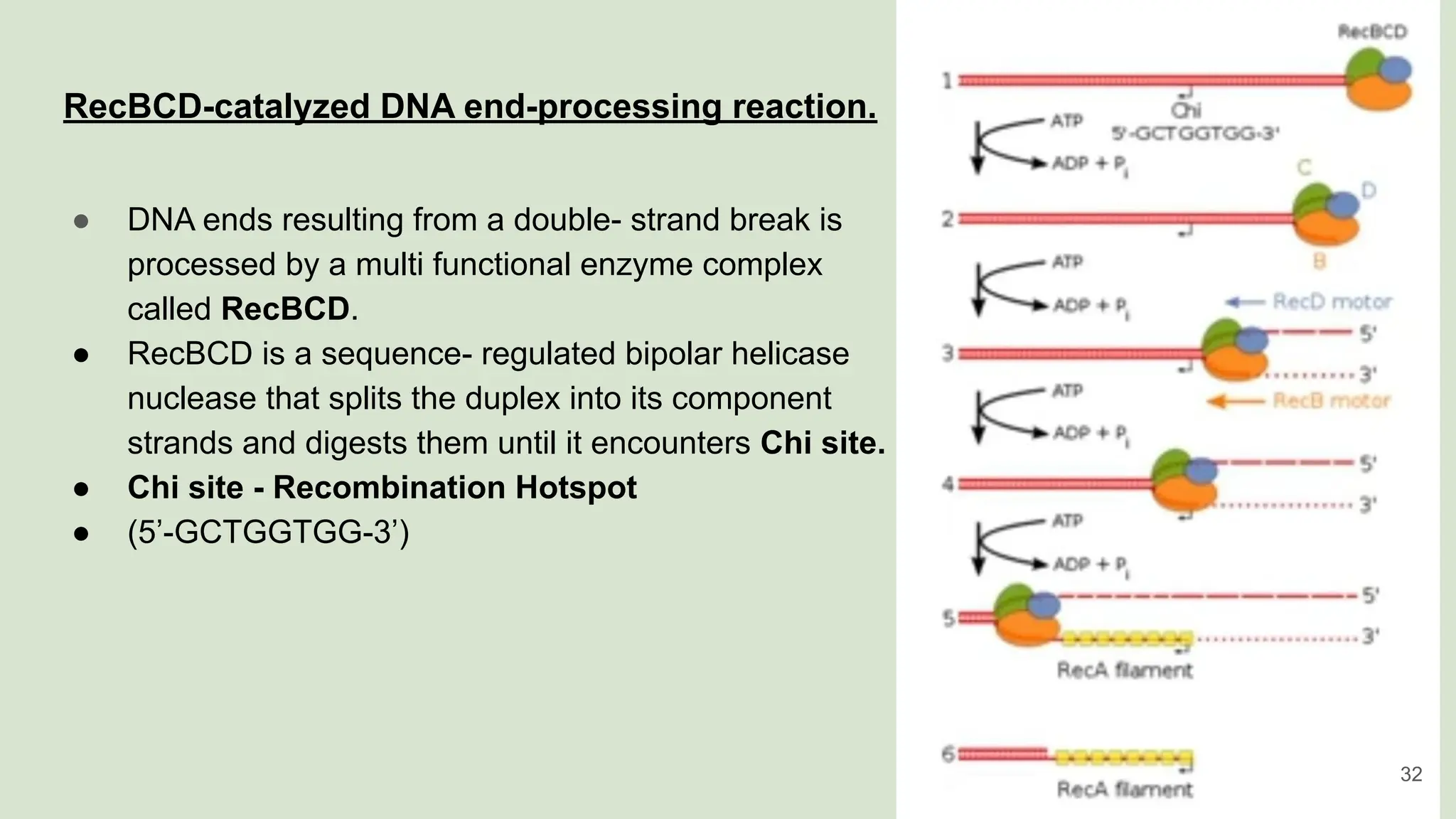 Recombination : types, models........... | PDF