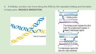 Recombination : types, models........... | PDF
