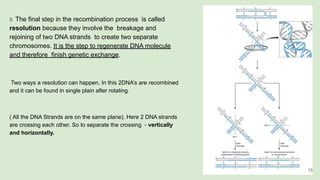 Recombination : types, models........... | PDF