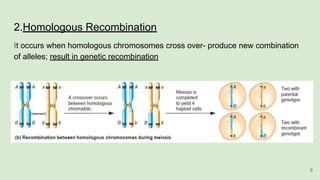 Recombination : types, models........... | PDF