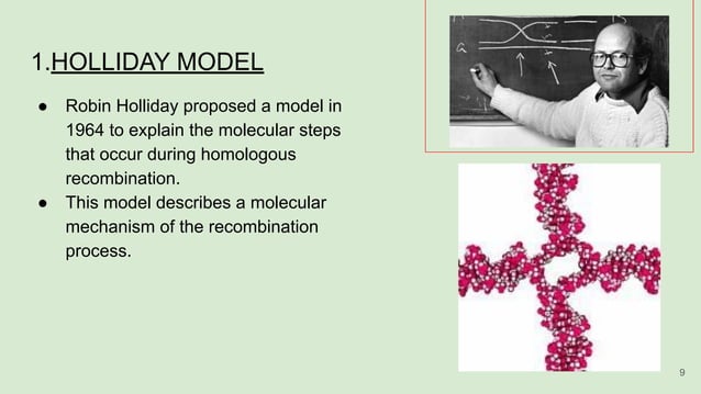 Recombination : types, models........... | PDF