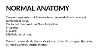 paranasal sinuses radiology pathology anatomuy | PPTX