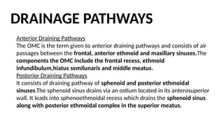 paranasal sinuses radiology pathology anatomuy | PPTX