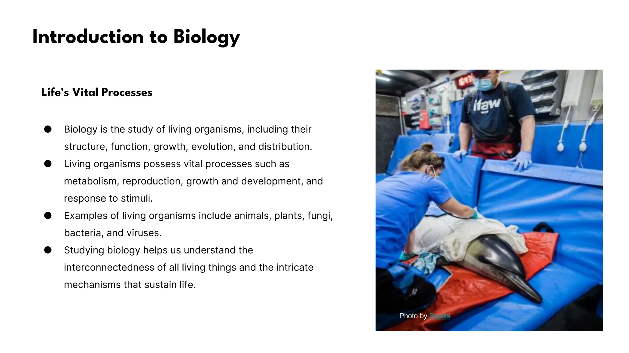 Biology Investigatory Project Guide & Tips | PPTX | Biological Sciences ...
