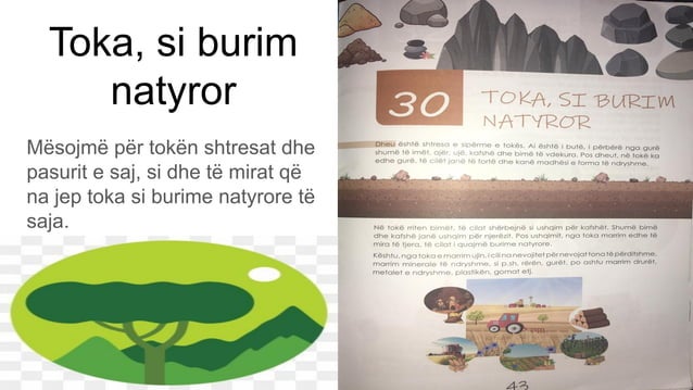 Njeriu dhe natyra | PDF