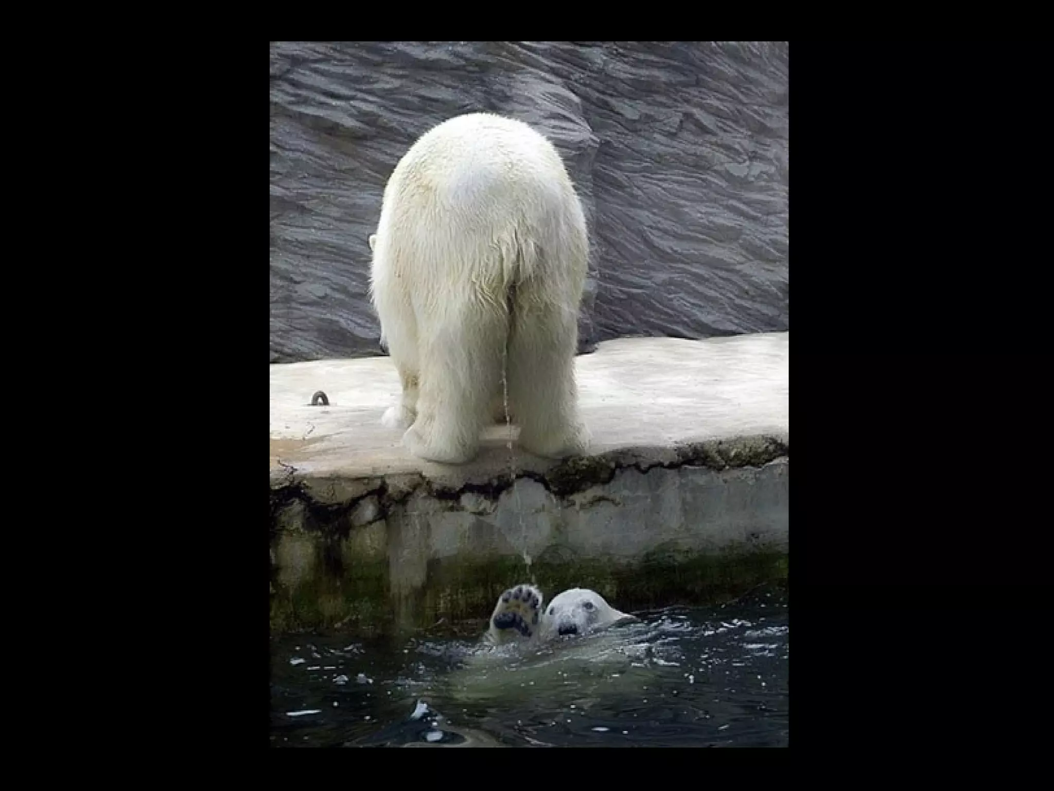 Unusual Photos | PPS