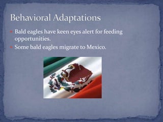 Unusual adaptations | PPT