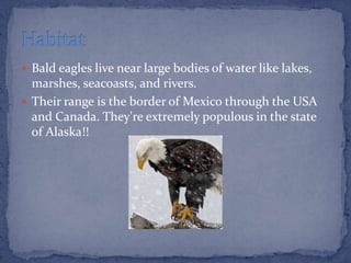 Unusual adaptations | PPT