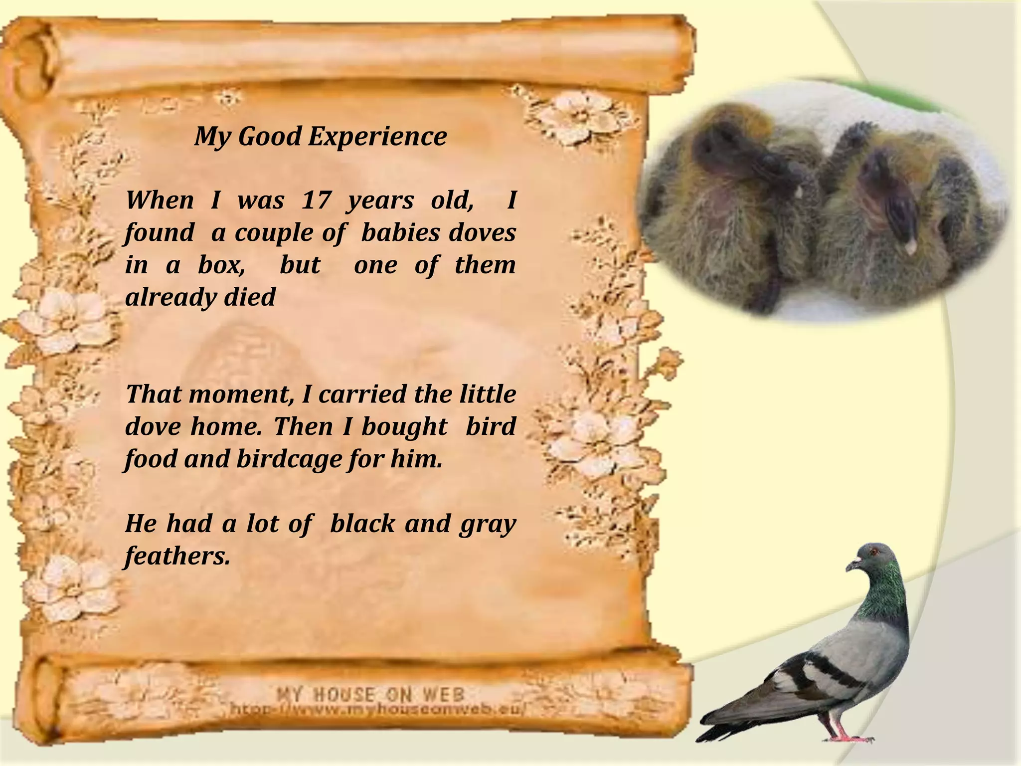 Unusual Experience | PPTX