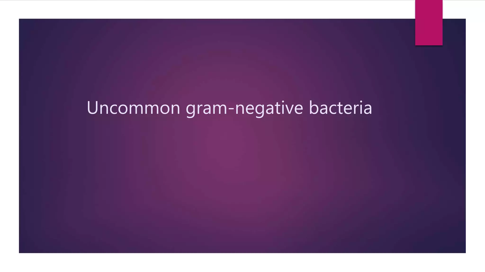 Unusual gram negative bacteria | PPTX