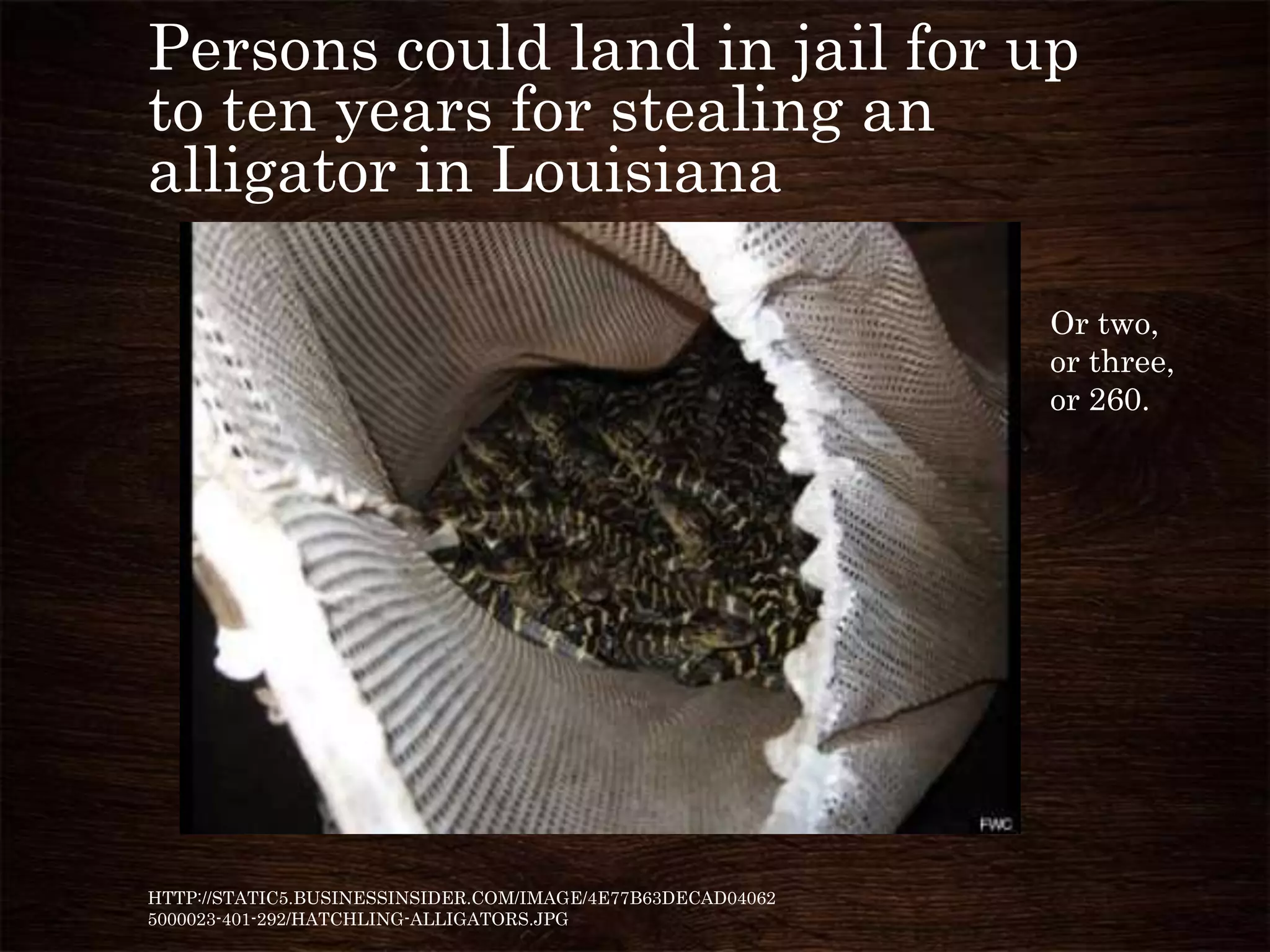 Unusual laws in the u | PPTX