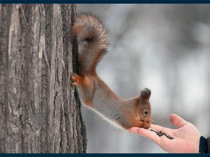 Unusual Photography unusual-photography