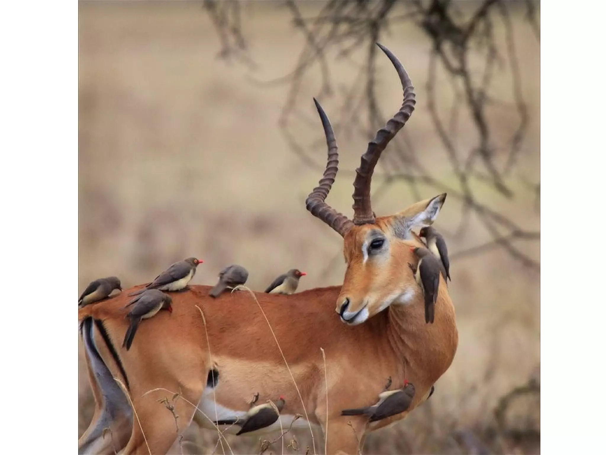 Unusual Photos @ Unusual Moments | PPS