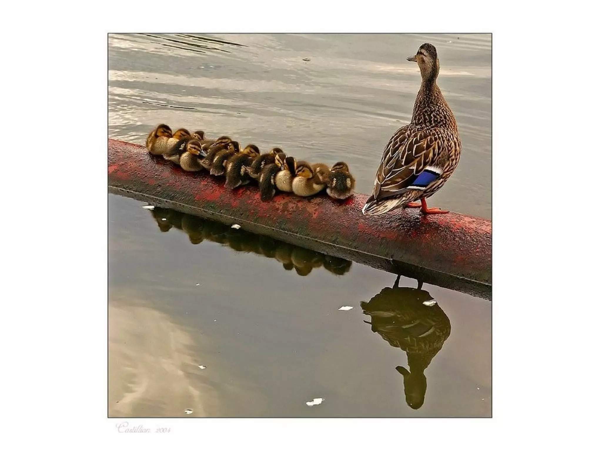 Unusual Photos @ Unusual Moments | PPS
