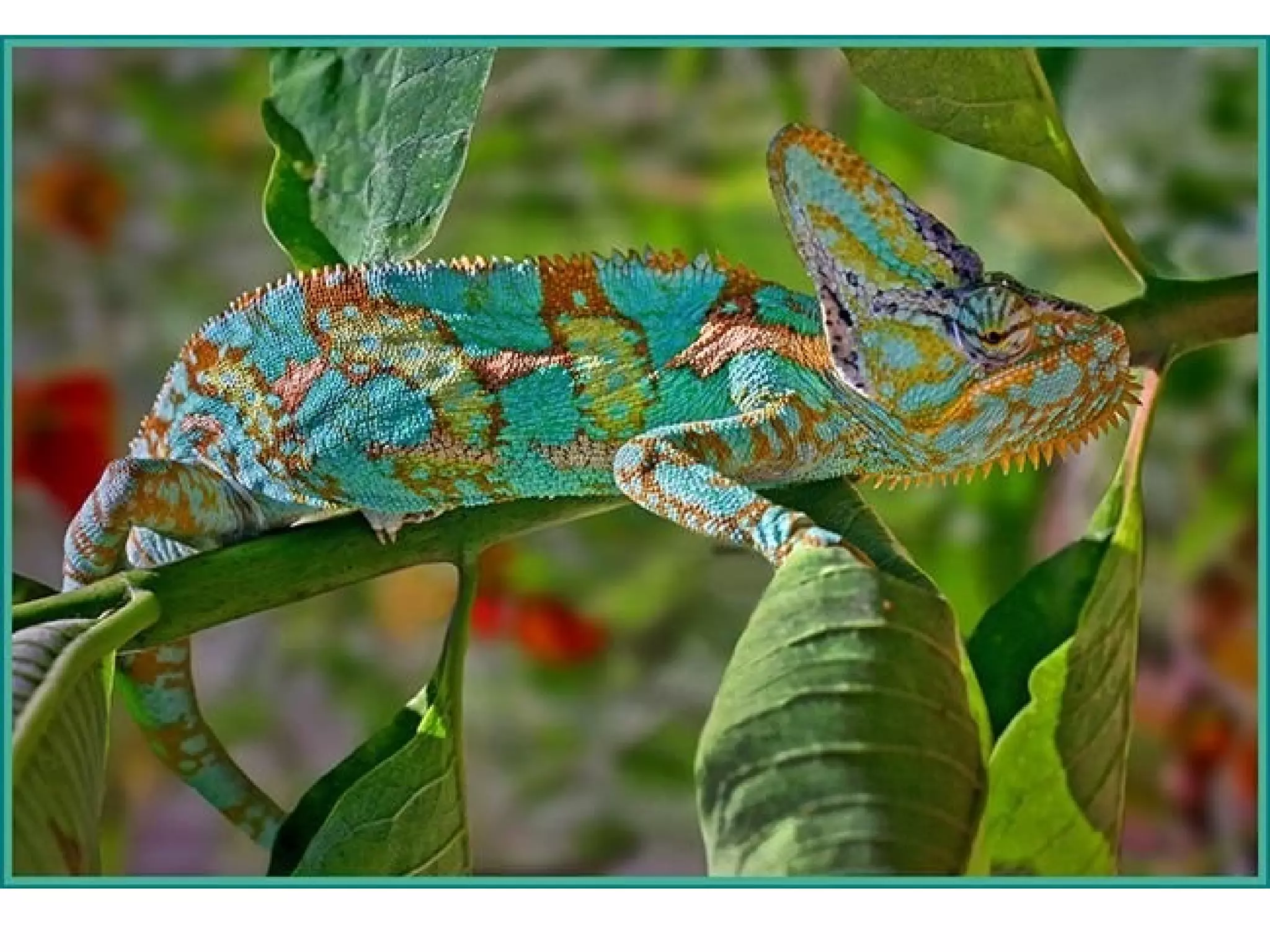 Unusual Photos @ Unusual Moments | PPS