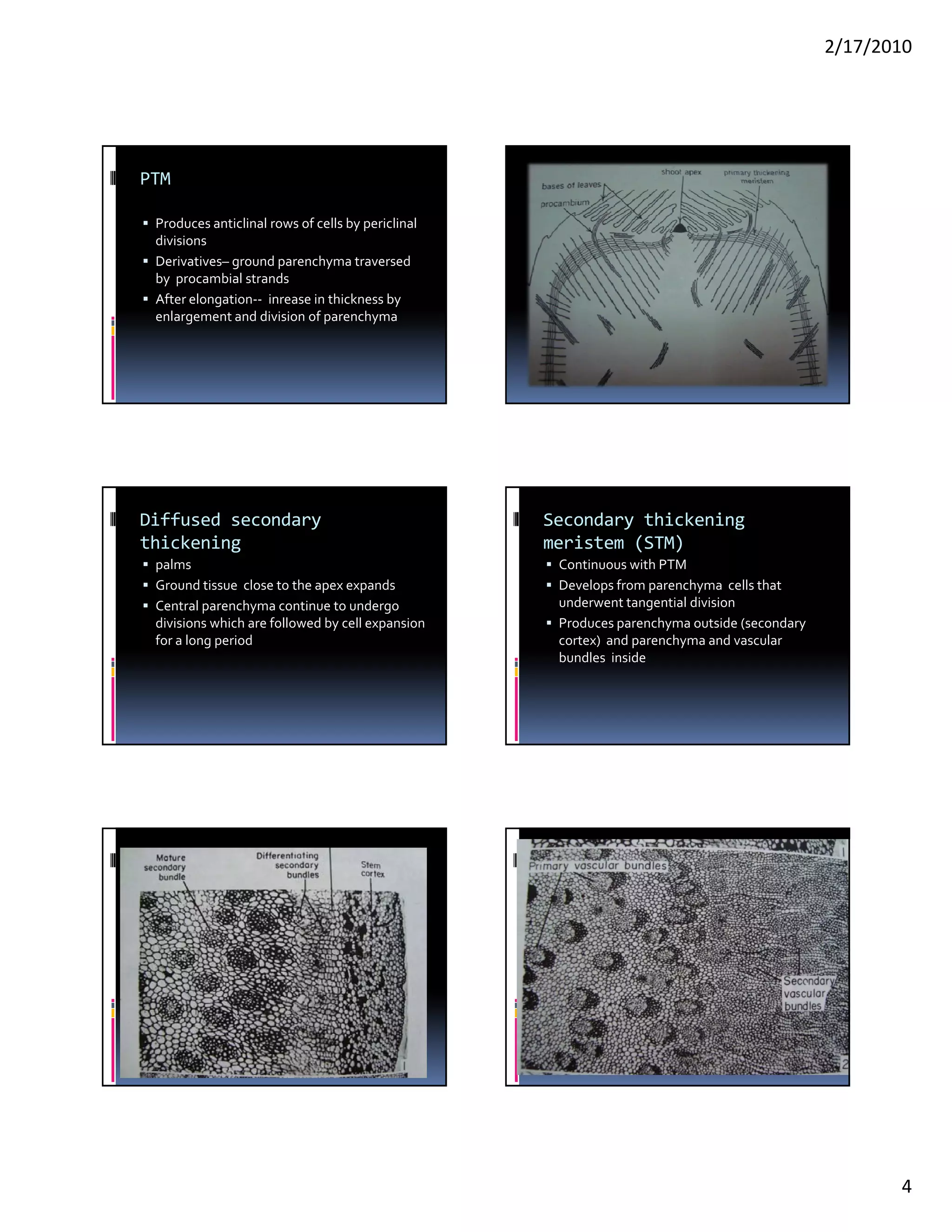 Unusual Secondary Growth | PDF