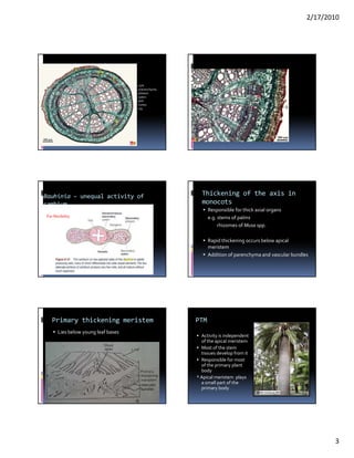 Unusual Secondary Growth | PDF
