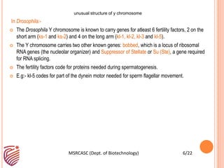 Unusual struc of y chromosome | PPTX