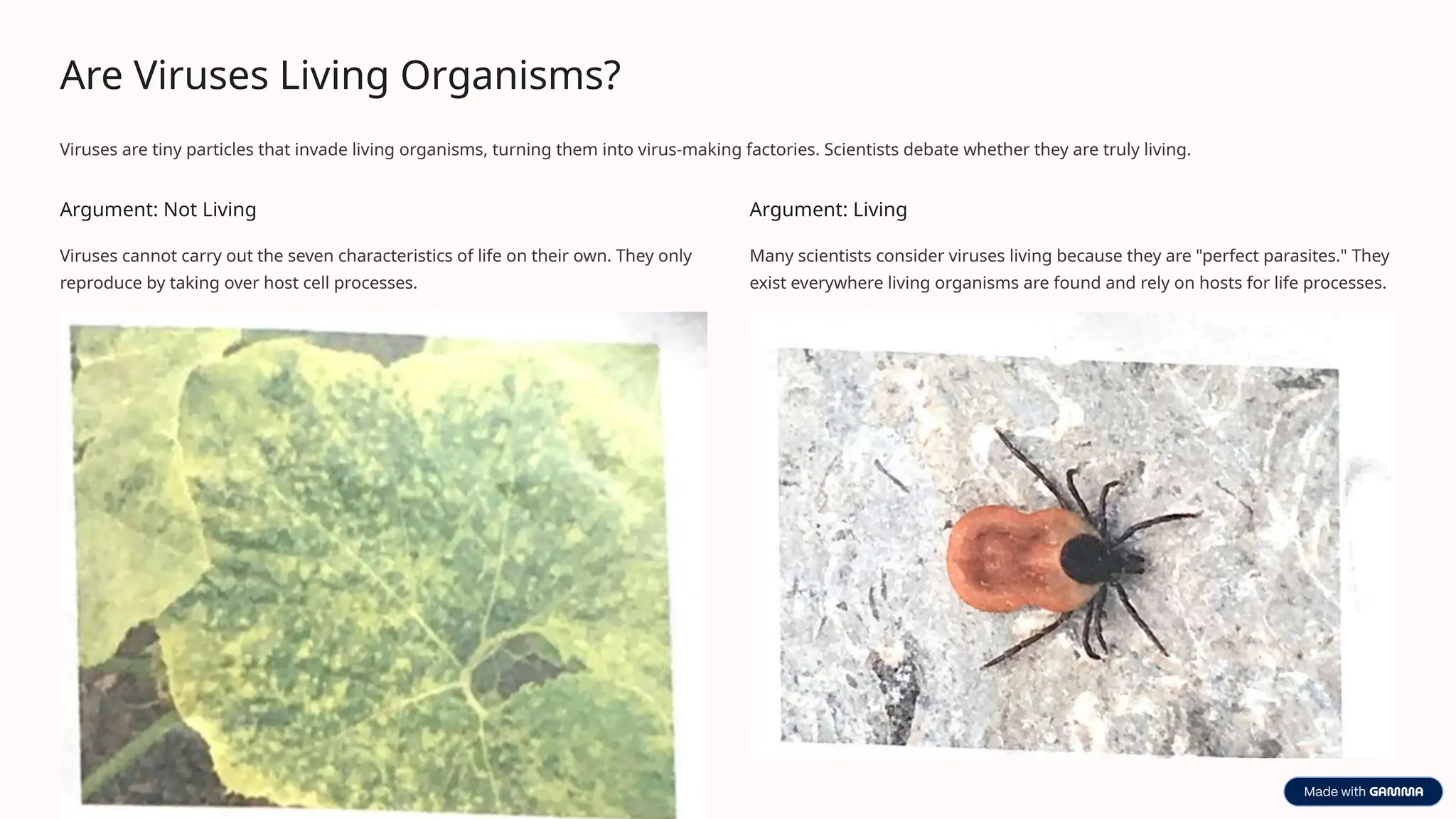 The-Characteristics-and-Classification-of-Organisms.pptx