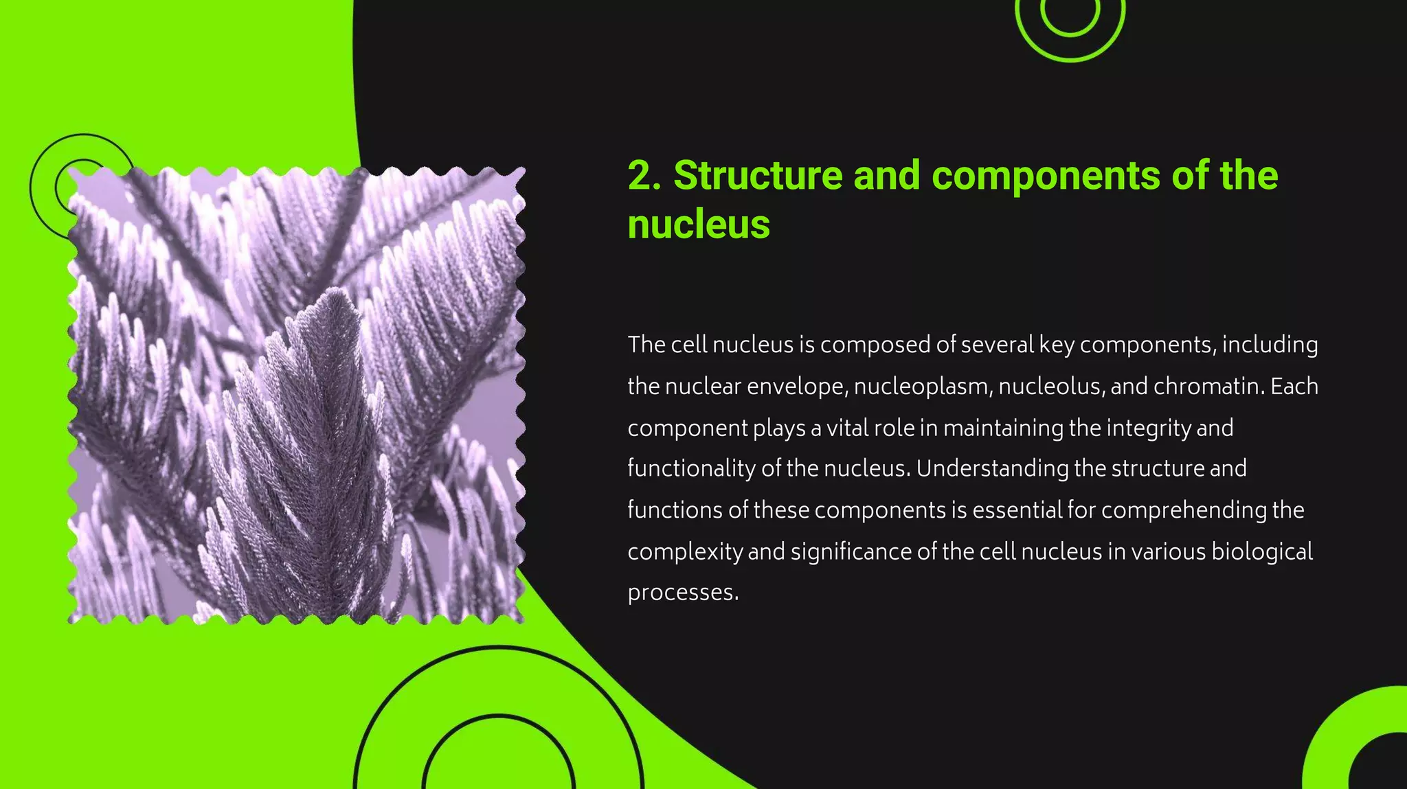 unveiling-the-enigma-a-comprehensive-exploration-of-the-cell-nucleus.pptx