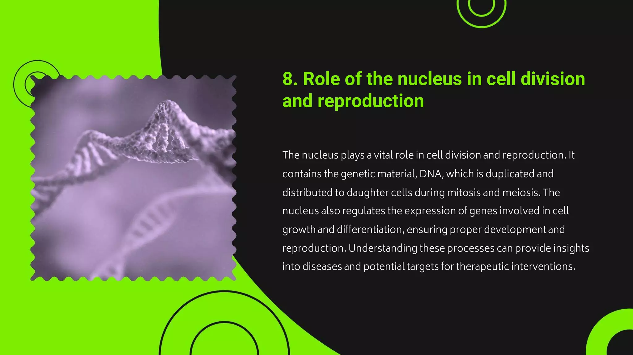 unveiling-the-enigma-a-comprehensive-exploration-of-the-cell-nucleus.pptx