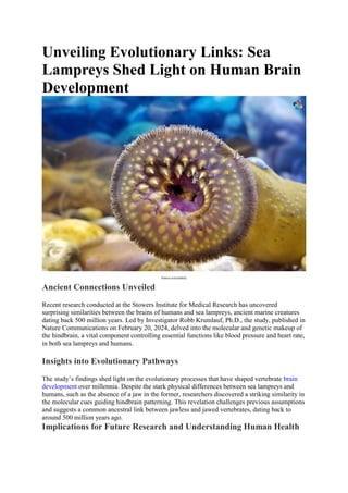Sea Lampreys Shed Light on Human Brain Development | The Lifesciences ...