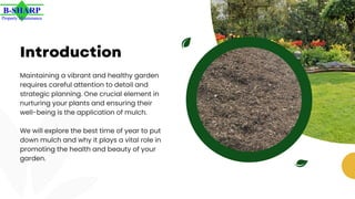 Unveiling the Best Time of Year to Put Down Mulch.pdf