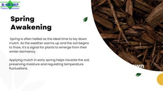 Unveiling the Best Time of Year to Put Down Mulch.pdf