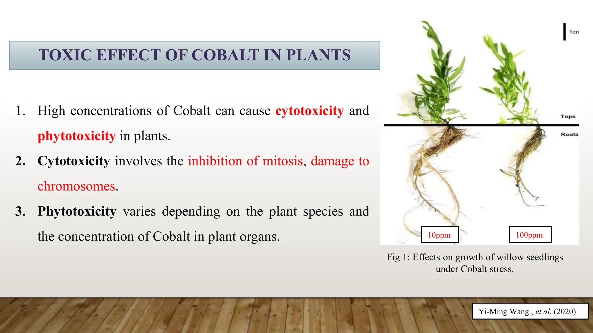 Unveiling The Crucial Role Of Cobalt In Plant | PPTX