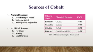 Unveiling The Crucial Role Of Cobalt In Plant | PPTX