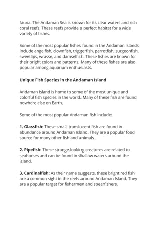 Unveiling The Hidden Treasures Of Andaman.pdf