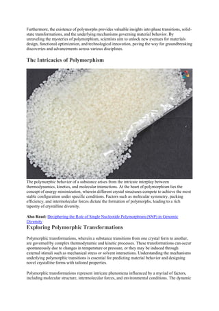 Polymorphs: Detail Exploration | The Lifesciences Magazine | PDF ...