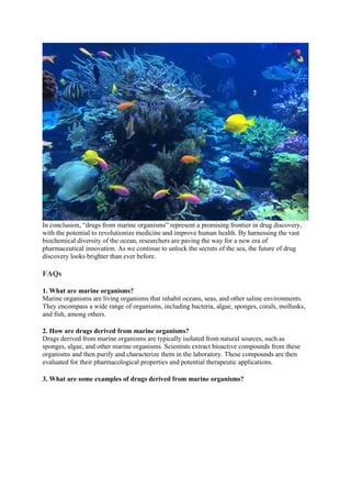 Unveiling the Ocean's Pharmacy: A Deep Dive into Drugs from Marine ...