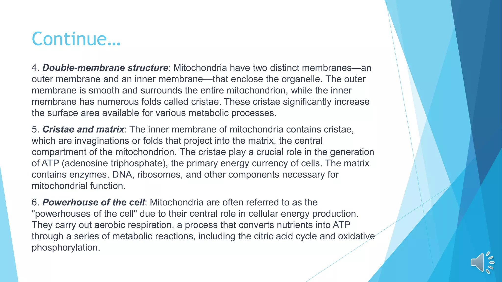 Unveiling the Powerhouses of the Cell.pptx
