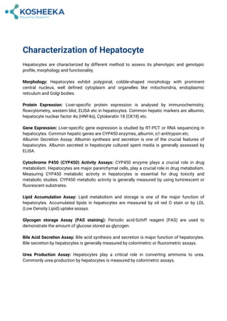 Unveiling the Power of Hepatocytes: The Cornerstone of Liver Research ...