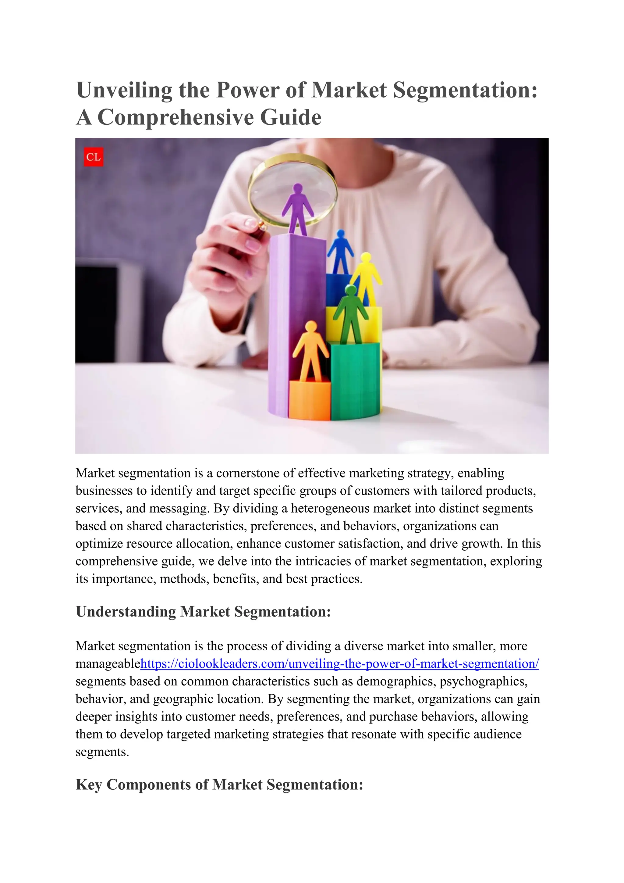 Unveiling the Power of Market Segmentation: A Comprehensive Guide | PDF