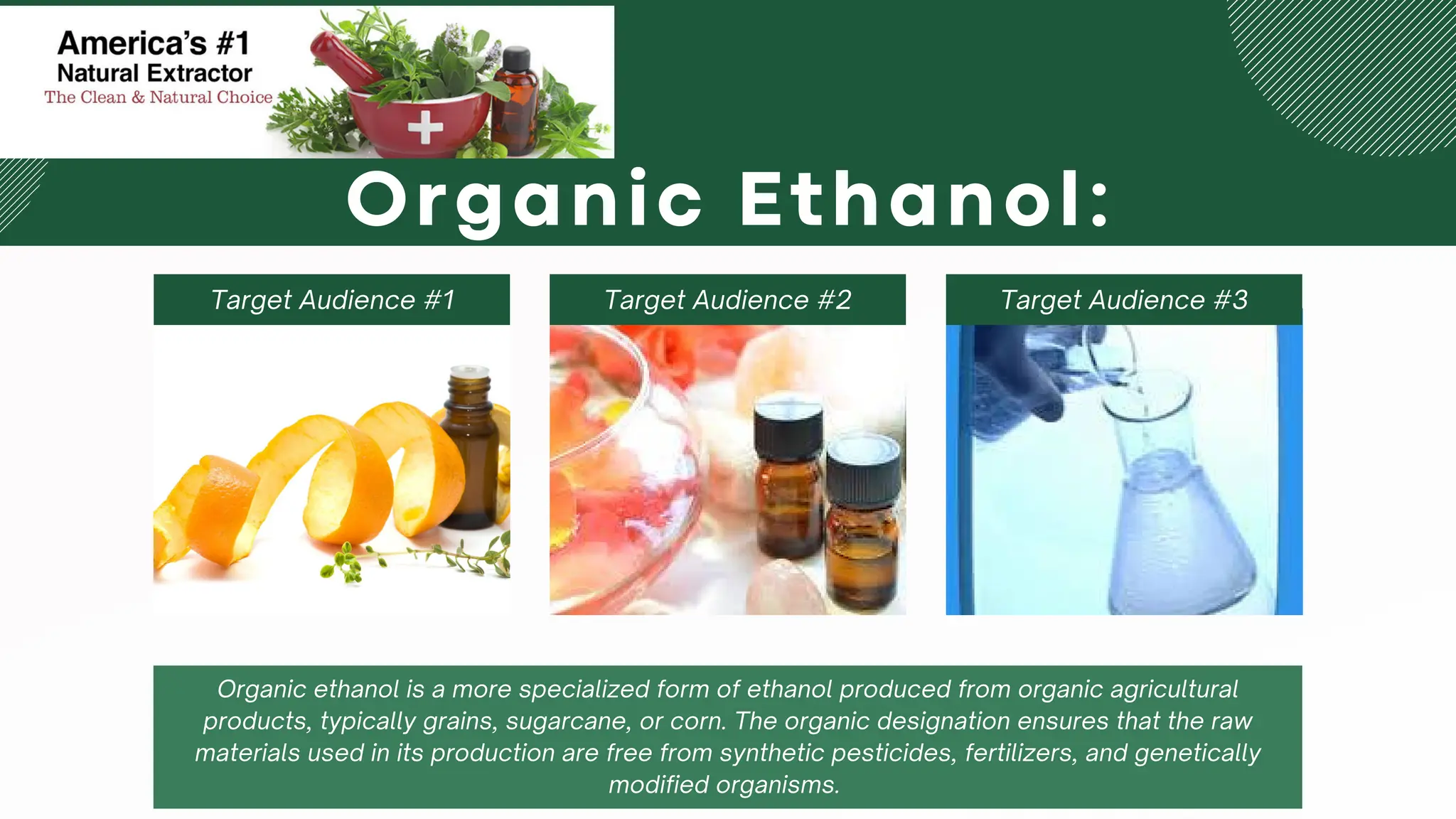 Unveiling the Secrets of Ethanol: Ethyl Alcohol and Organic Ethanol | PDF | Food & Drink