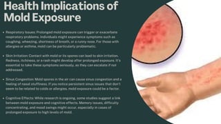 Unveiling the Silent Intruder: Recognizing the Signs of Mold Exposure ...