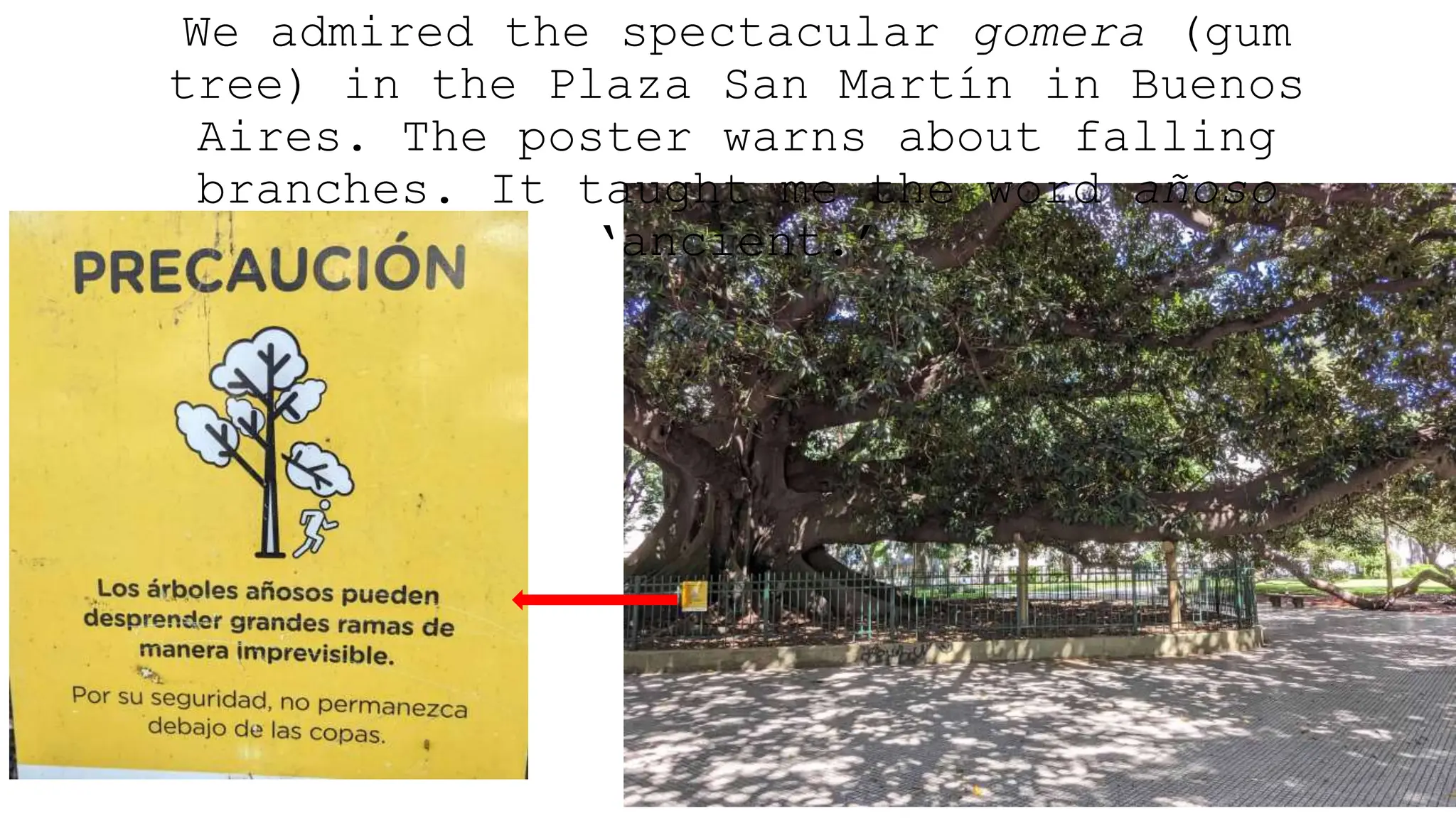 Un viaje a Buenos Aires y sus alrededores | PPT