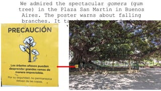 Un viaje a Buenos Aires y sus alrededores | PPT