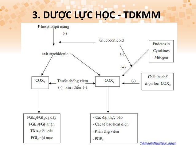 Adverse effects of Corticosteroids - Tác dụng KMM của các Glucocorticoid | PPTX
