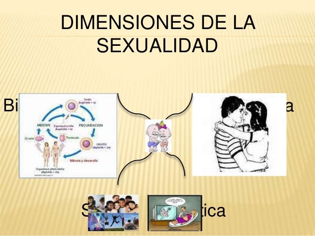 Sexualidad Humana Componentes Y Relaciones Interpersonales