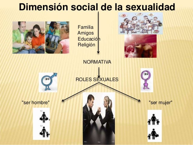 Sexualidad Humana Componentes Y Relaciones Interpersonales