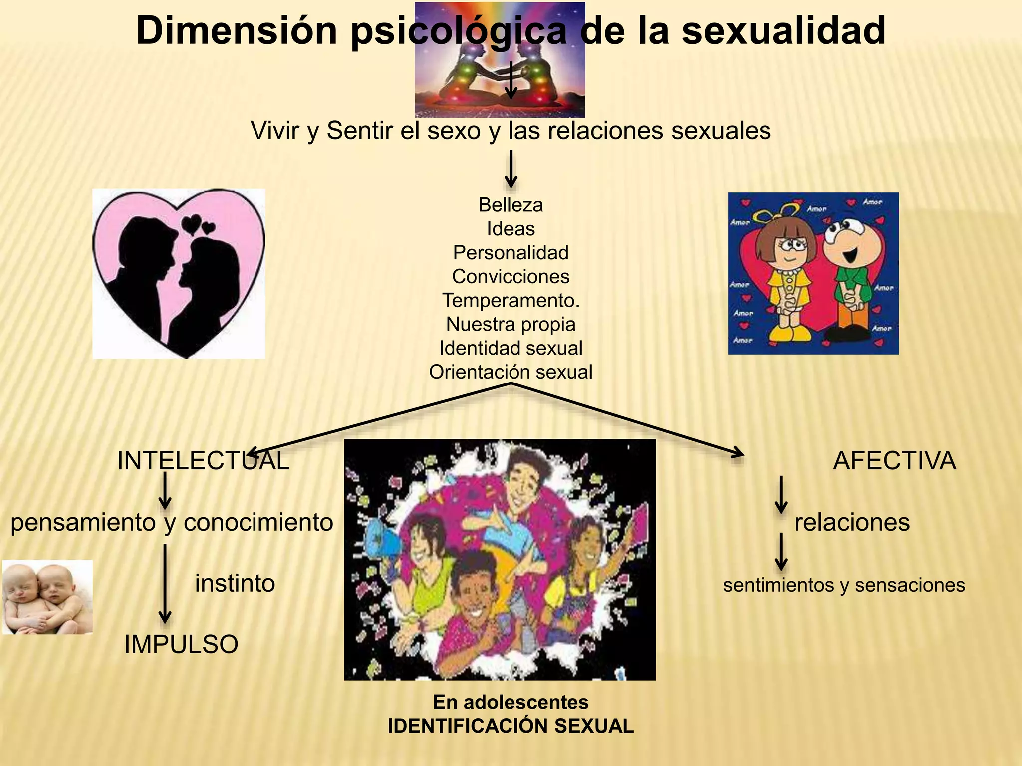 Componentes De La Sexualidad Y Las Relaciones Interpersonales Ppt