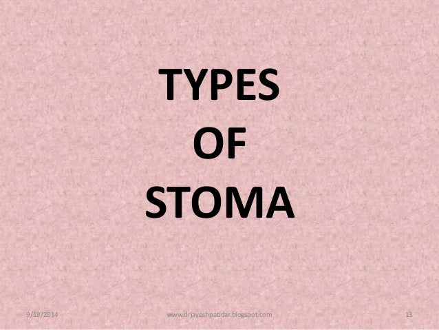 Stoma care