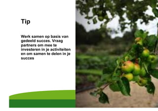 Xander Coolen Sleutel tot Succes | PPT