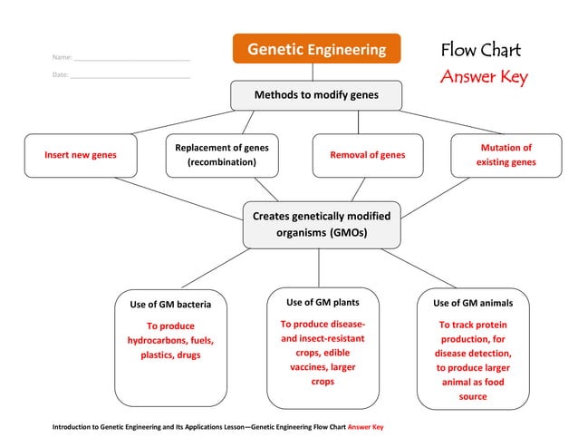 uoh_genetic_lesson01_flowchartas_v2_tedl_dwc.pdf | Biotech and ...